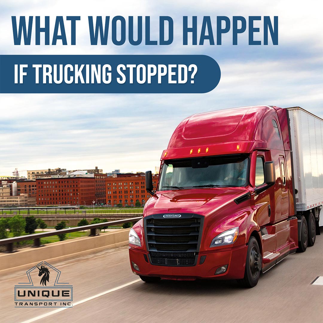 Let's design! - Transport Geniuses